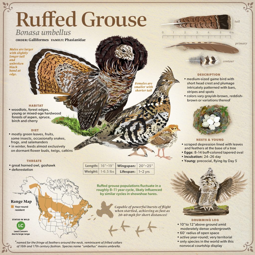 Maps by ScottRuffed Grouse Range - Maps by Scott